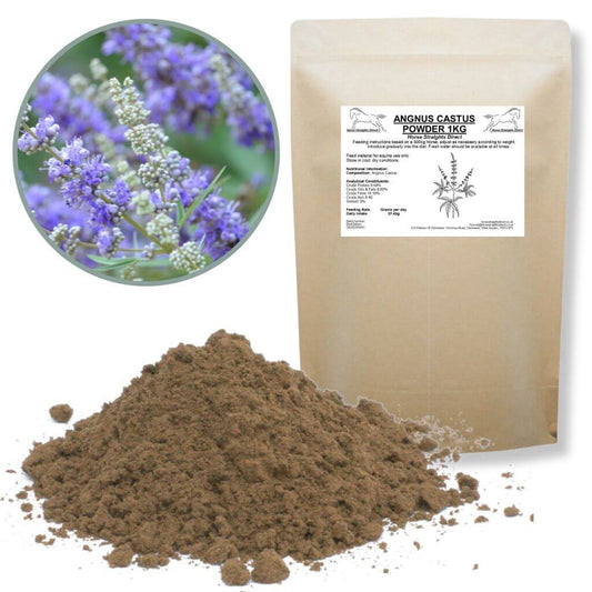 Products – Horse Straights Direct