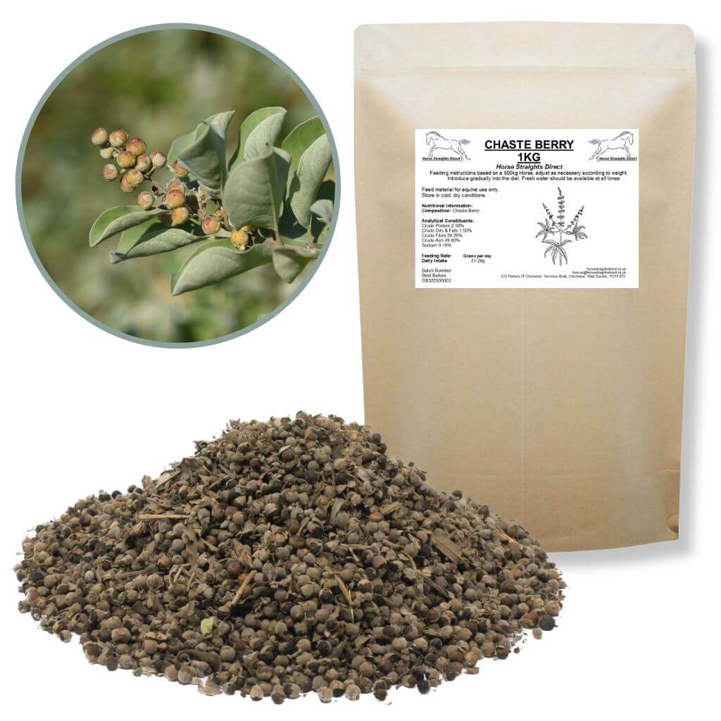 Agnus Castus - Chaste Tree - Whole Berry – Horse Straights Direct