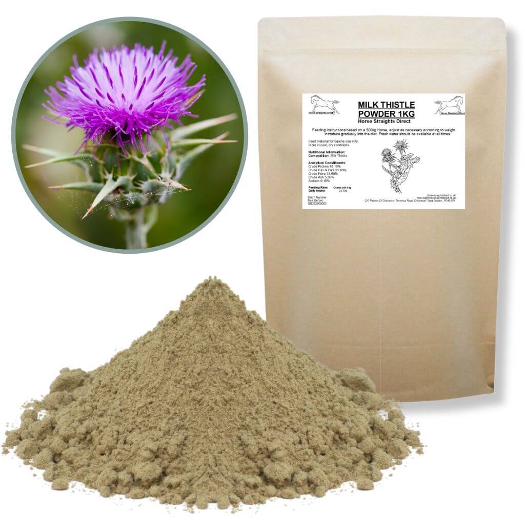 Milk Thistle Powder – Horse Straights Direct