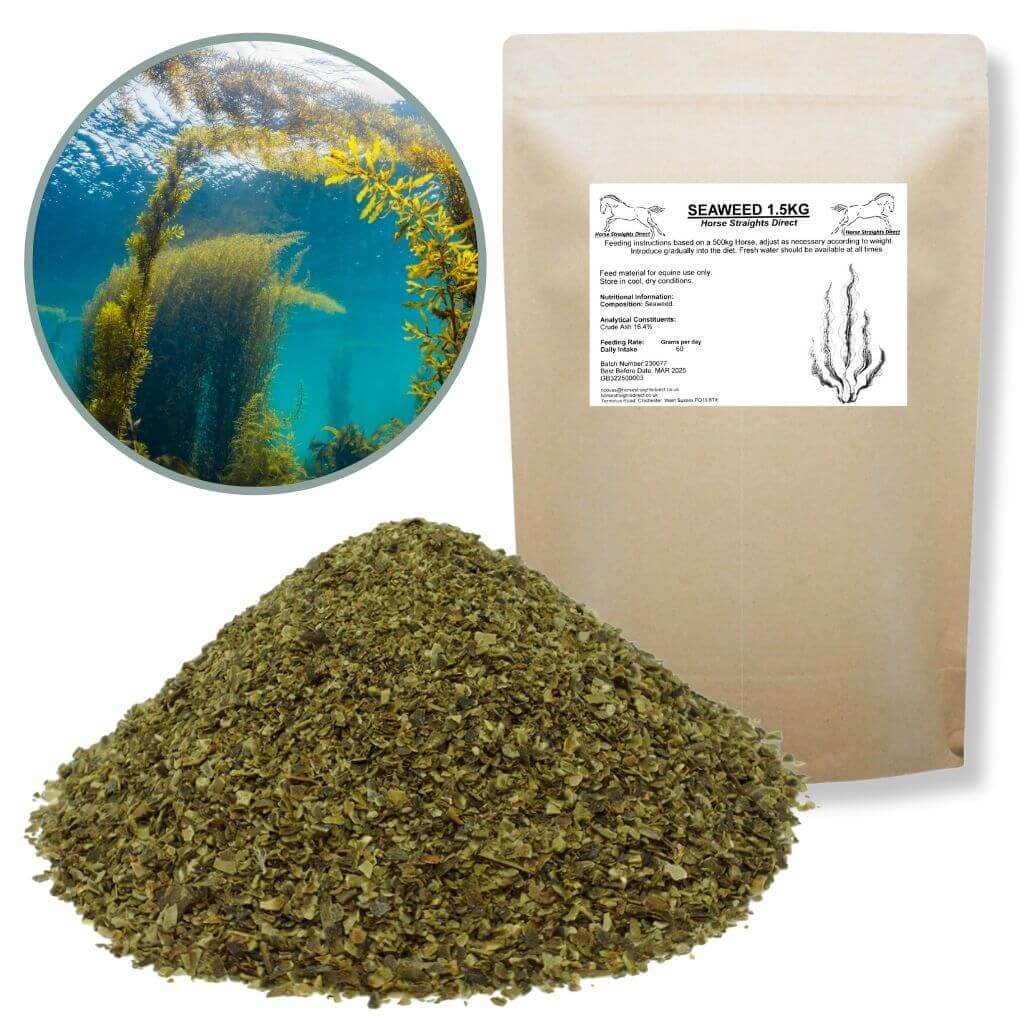 Seaweed – Horse Straights Direct