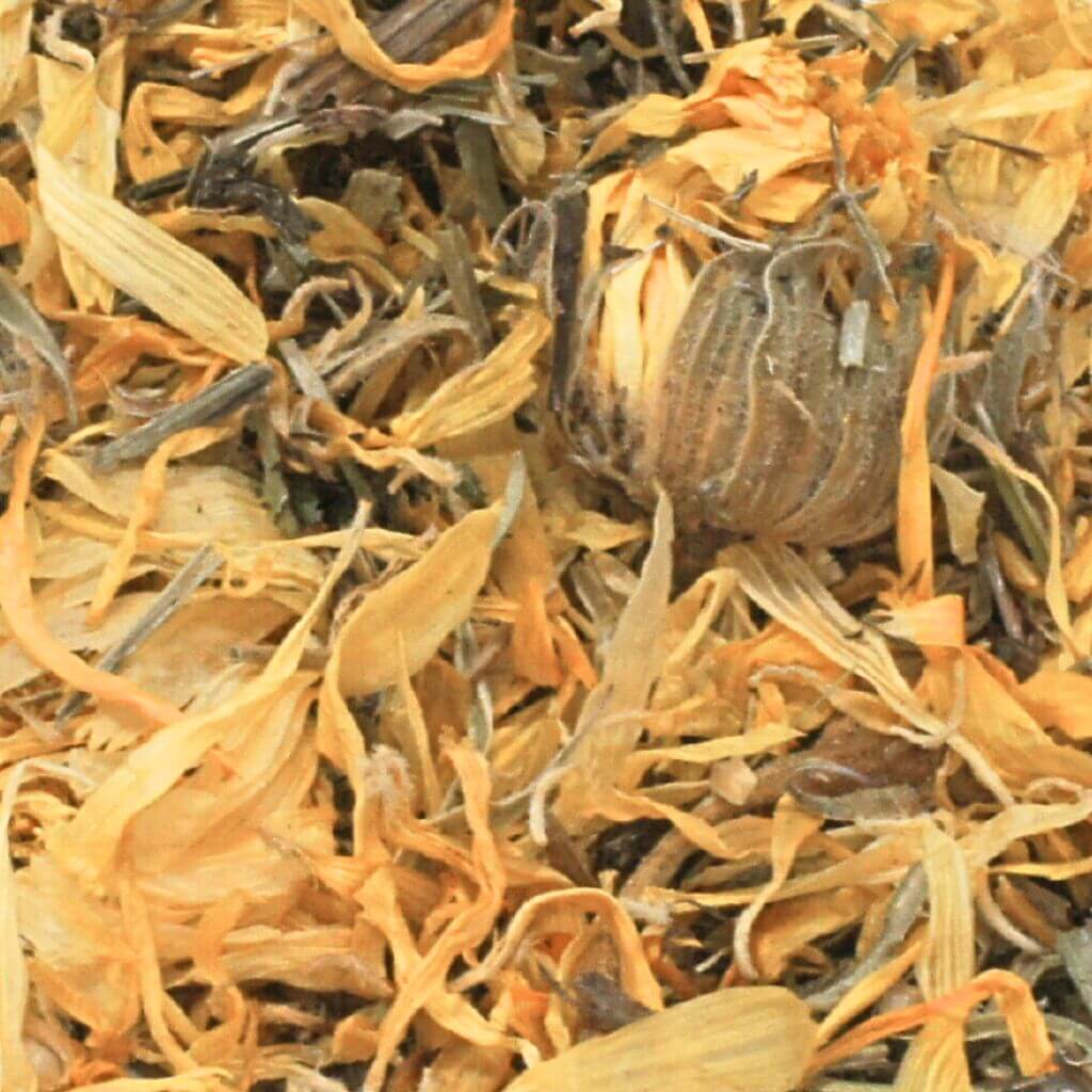 Horse Straights Direct