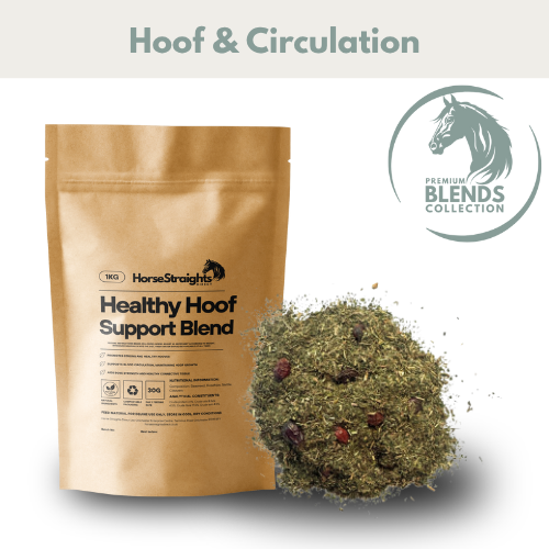 Healthy Hoof Support Blend – Horse Straights Direct