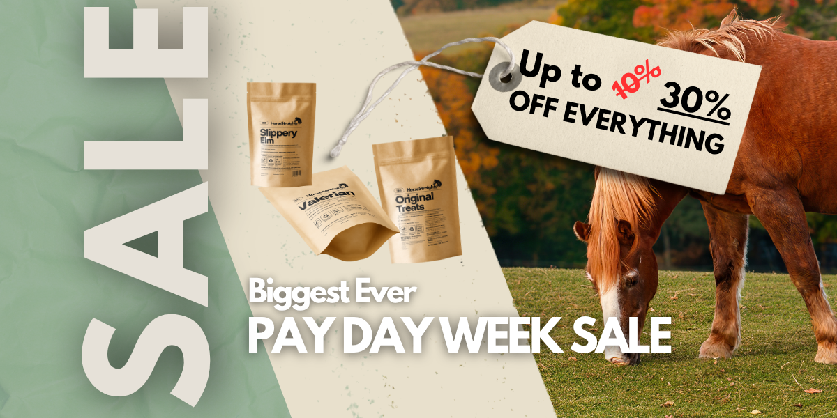 Horse Straights Direct